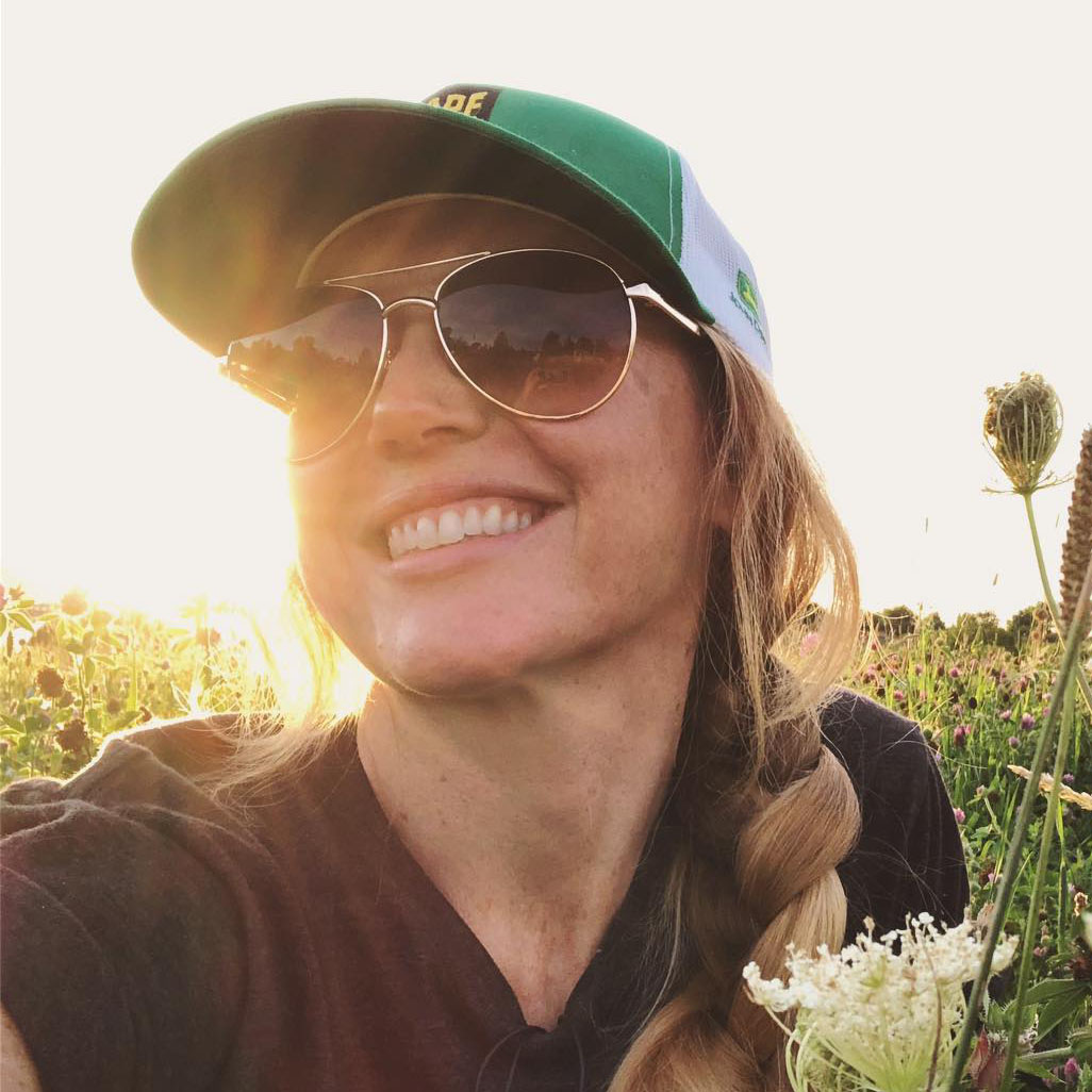 Natural Beekeeping Conference - HoneyLove